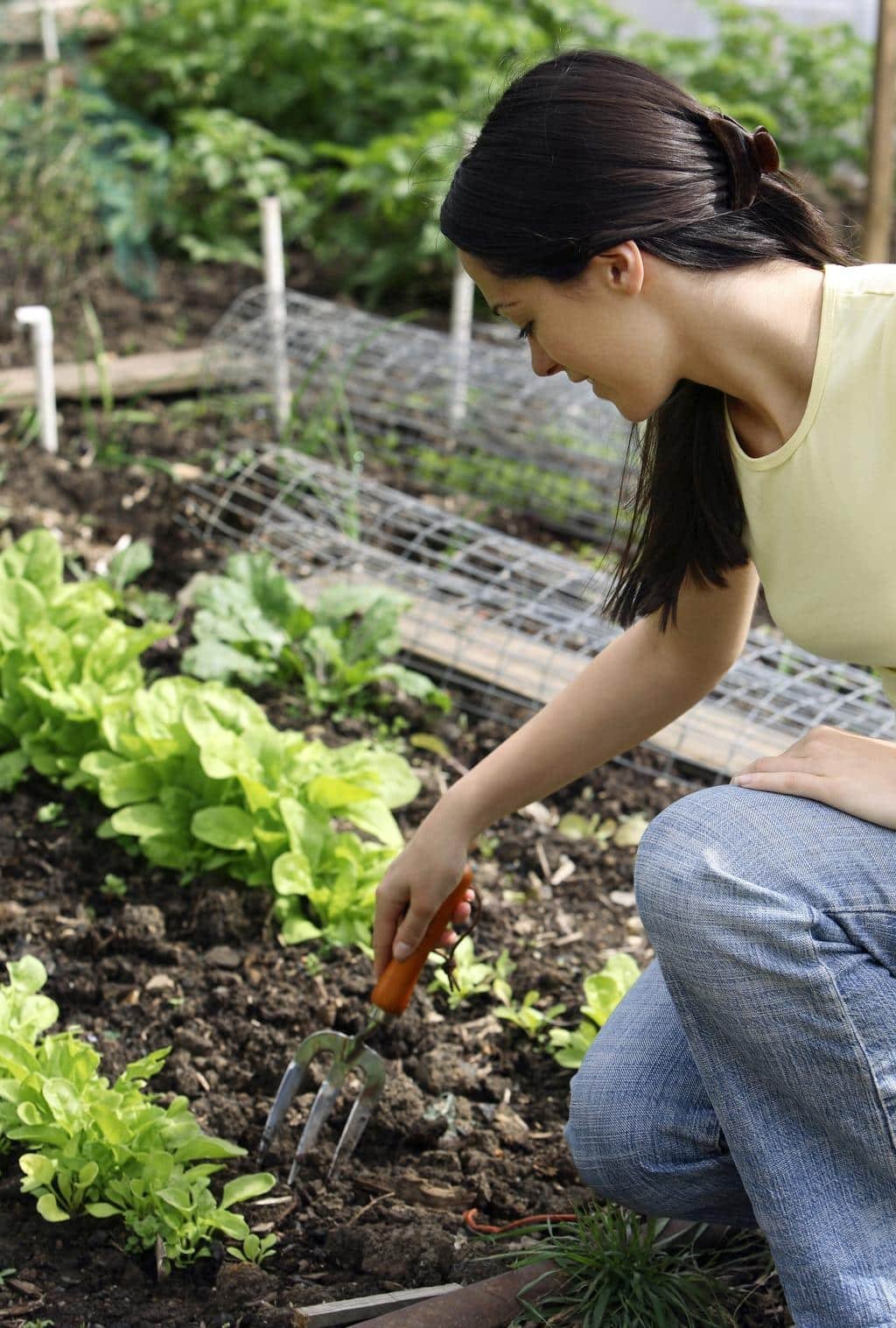 Dr. Raouf Farag – How Caring for a Small and Simple Garden Benefits the ...